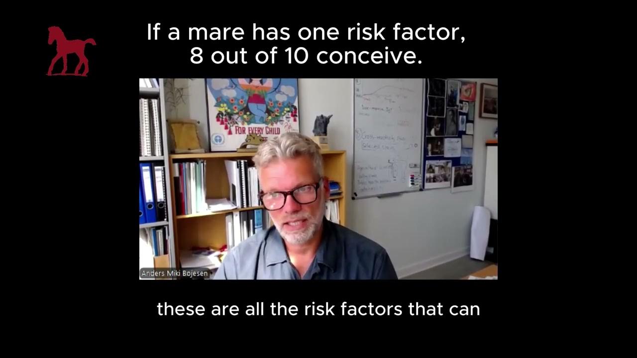 bActivate / Problem Mares - YouTube