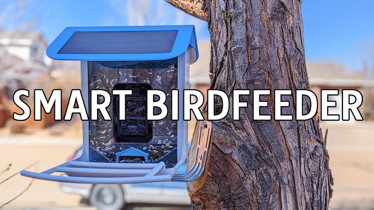 BIRD FEEDER: Smart Bird Feeder Review w/Camera | Motion Detector ...