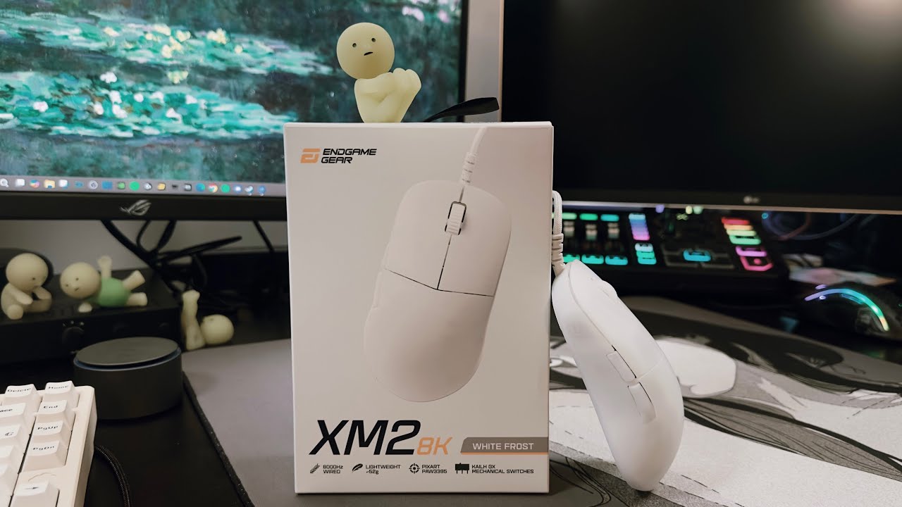 Endgame Gear XM2 8k Mouse Unboxing - YouTube