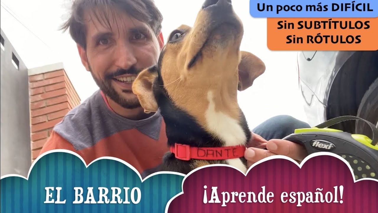 En MI BARRIO hay...🏡🚗🚦VOCABULARIO⛲Con EJERCICIOS de COMPRENSIÓN ...