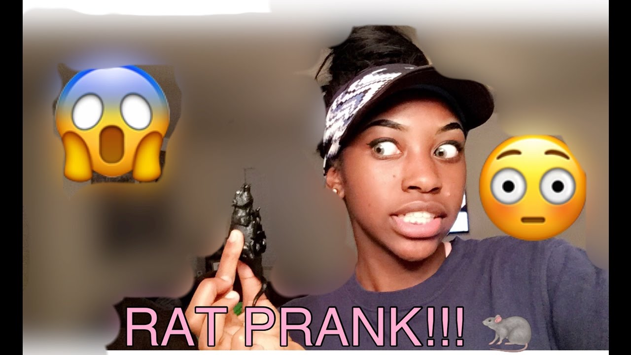 RAT PRANK FAIL!! - YouTube