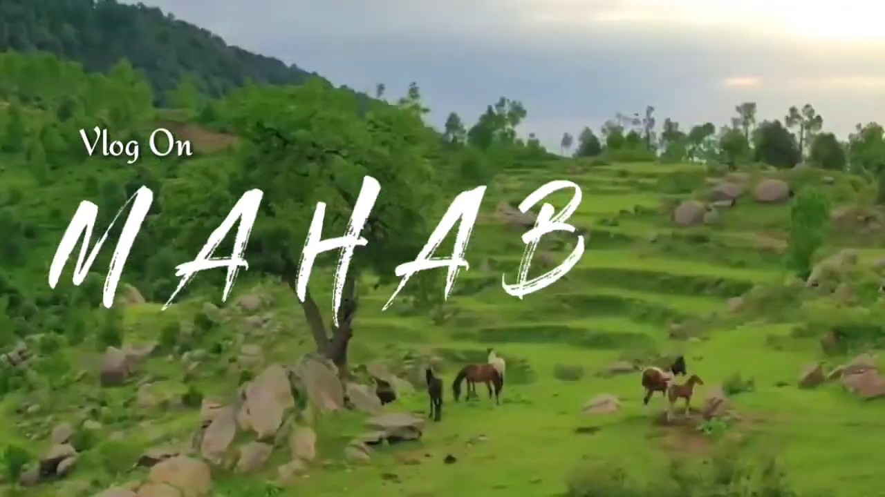 Swabi The Land Of Hospitilty | Vlog On Swabi Beautiful Sopt Gadoon Kohe ...