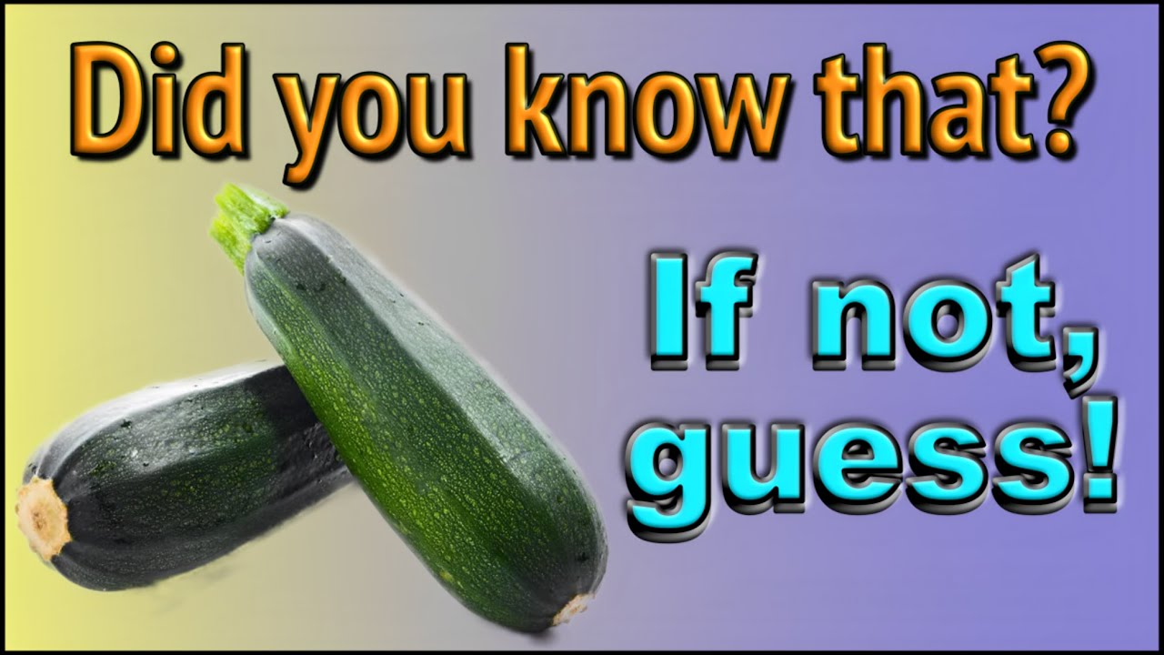 Zucchini! Guessing Game: Expand your general knowledge with our ...