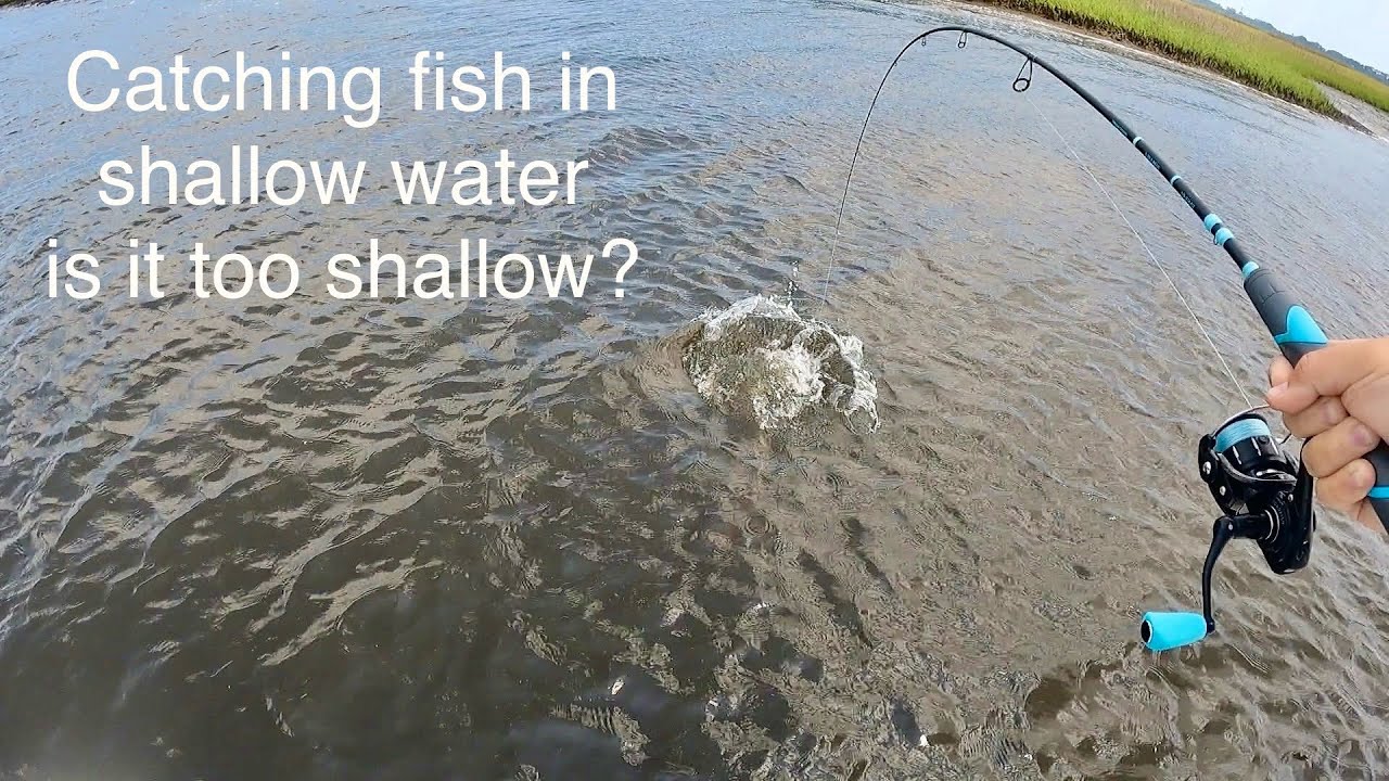 Great hour of shallow water fishing in Jacksonville, Fl. I shouldn't ...