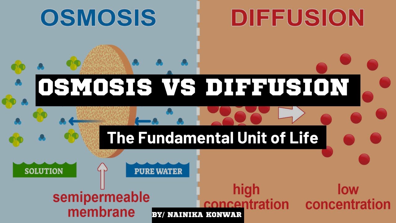 Class 9- The Fundamental Unit Of Life (Biology)[PART-2] Osmosis and ...