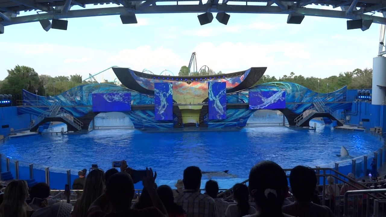 SeaWorld One Ocean Show - YouTube