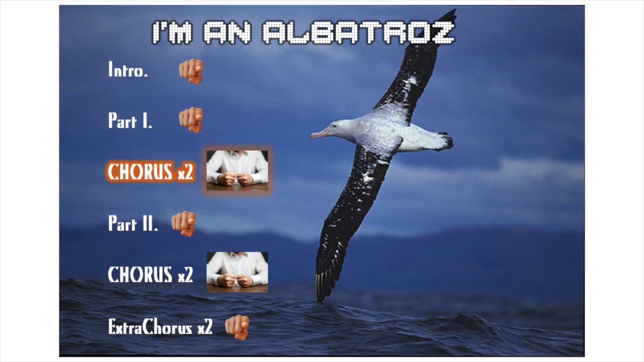 I'm an Albatroz - MusicJT - YouTube