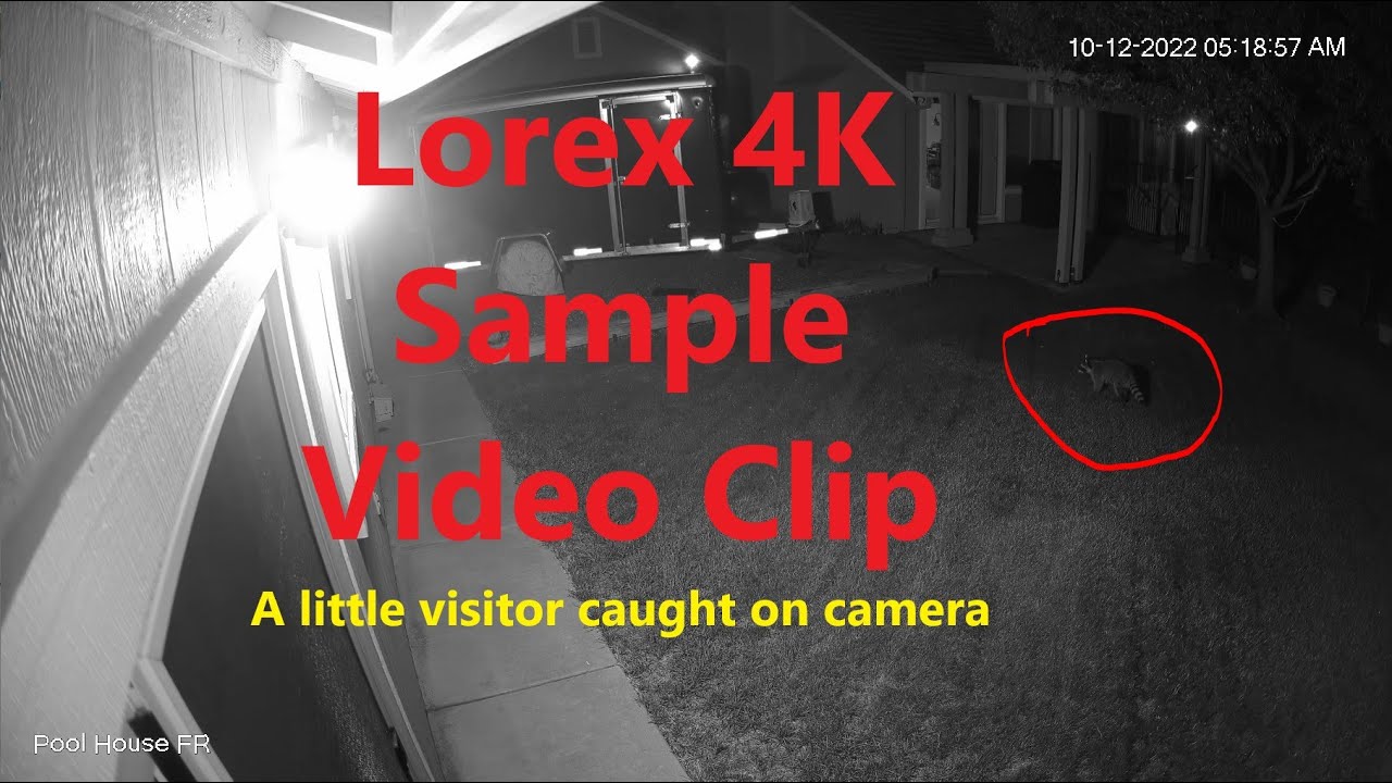 LOREX 4K NIGHT VISION SAMPLE VIDEO STARRING A RACCOON - YouTube