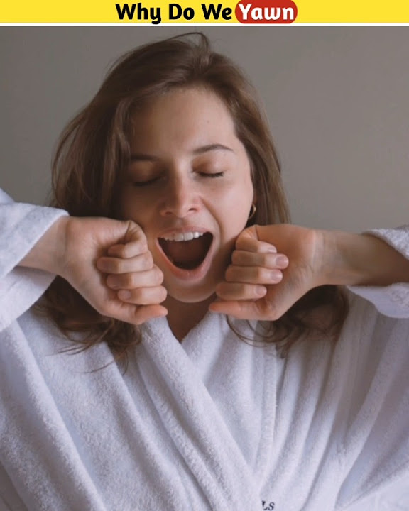 Why Do We Yawn #yawn #shortsfeed - YouTube