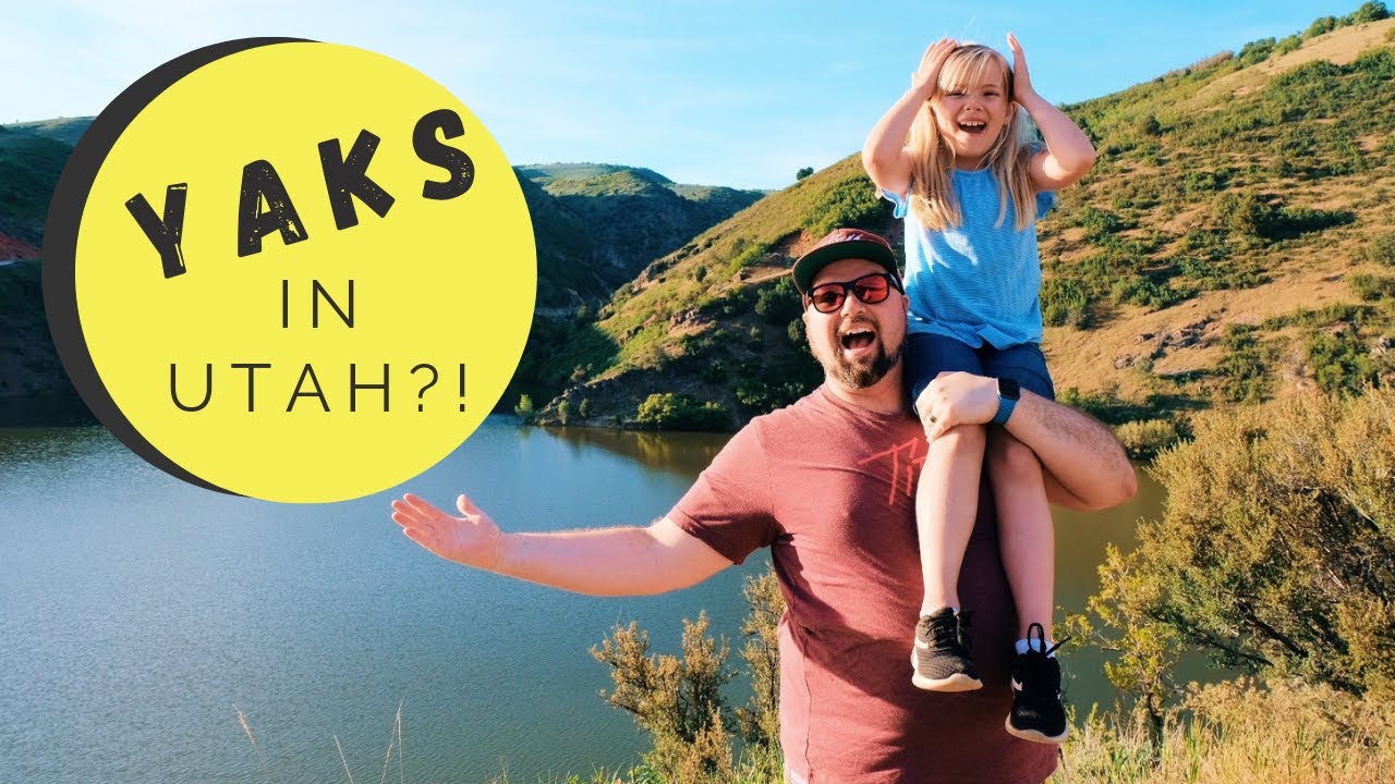 Yaks in Utah!? | Time for an Adventure | Vlog #41 - YouTube