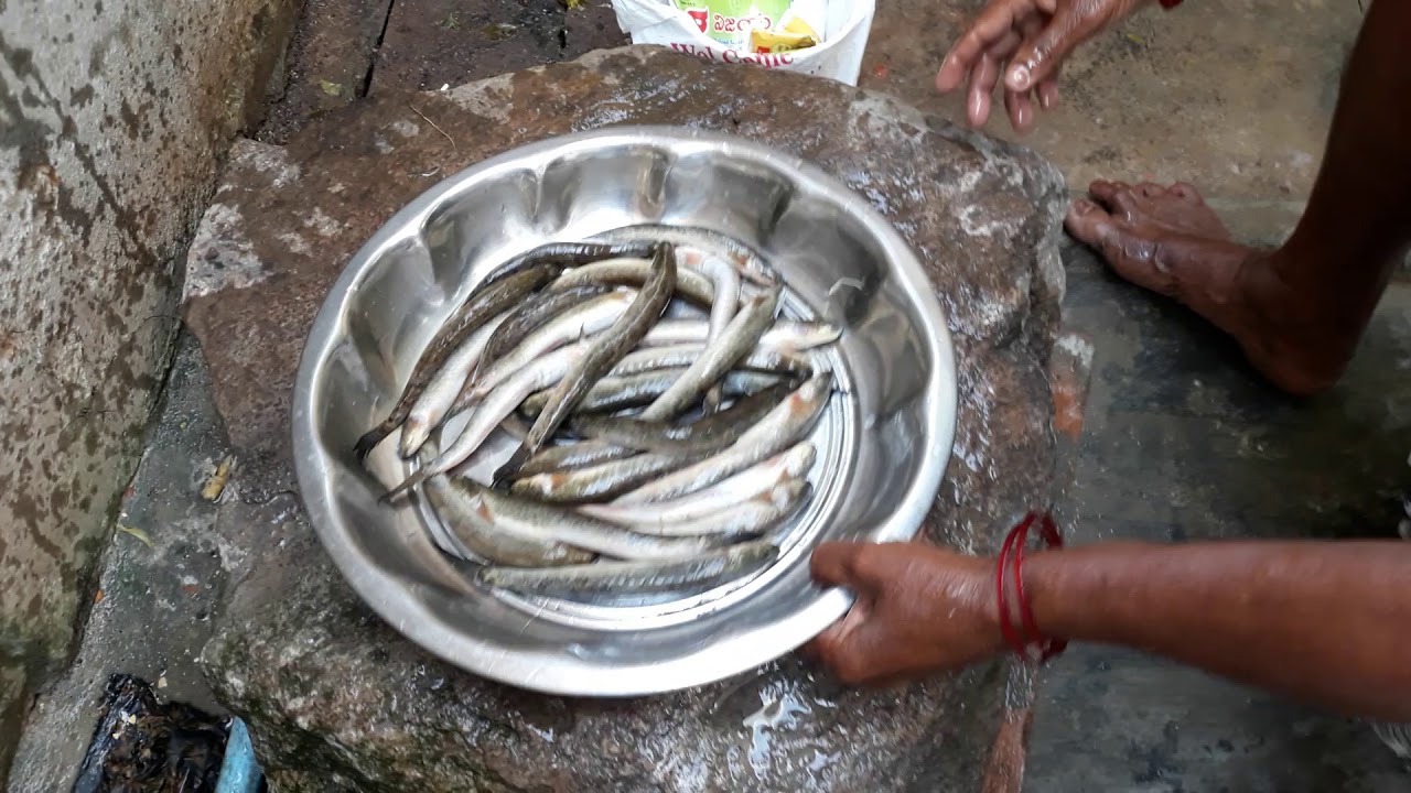 ravalu fish 1 - YouTube