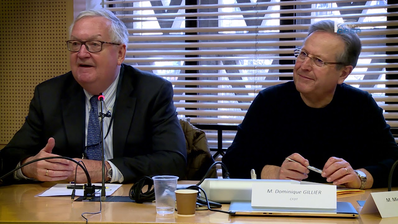 Audition de Patrick ARTUS - Réconcilier la France - cese - YouTube