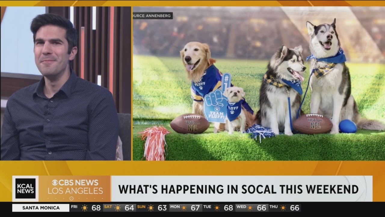 Weekend Roundup: Museums, a 'pup rally' and a P-22 memorial - YouTube