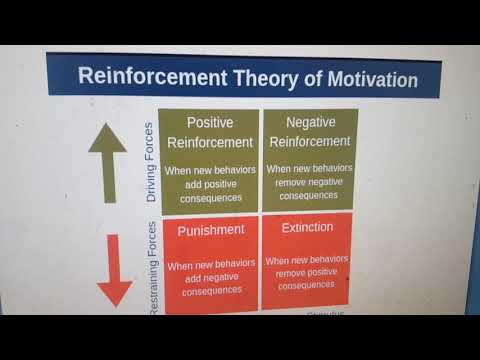 Reinforcement theory of Motivation - YouTube