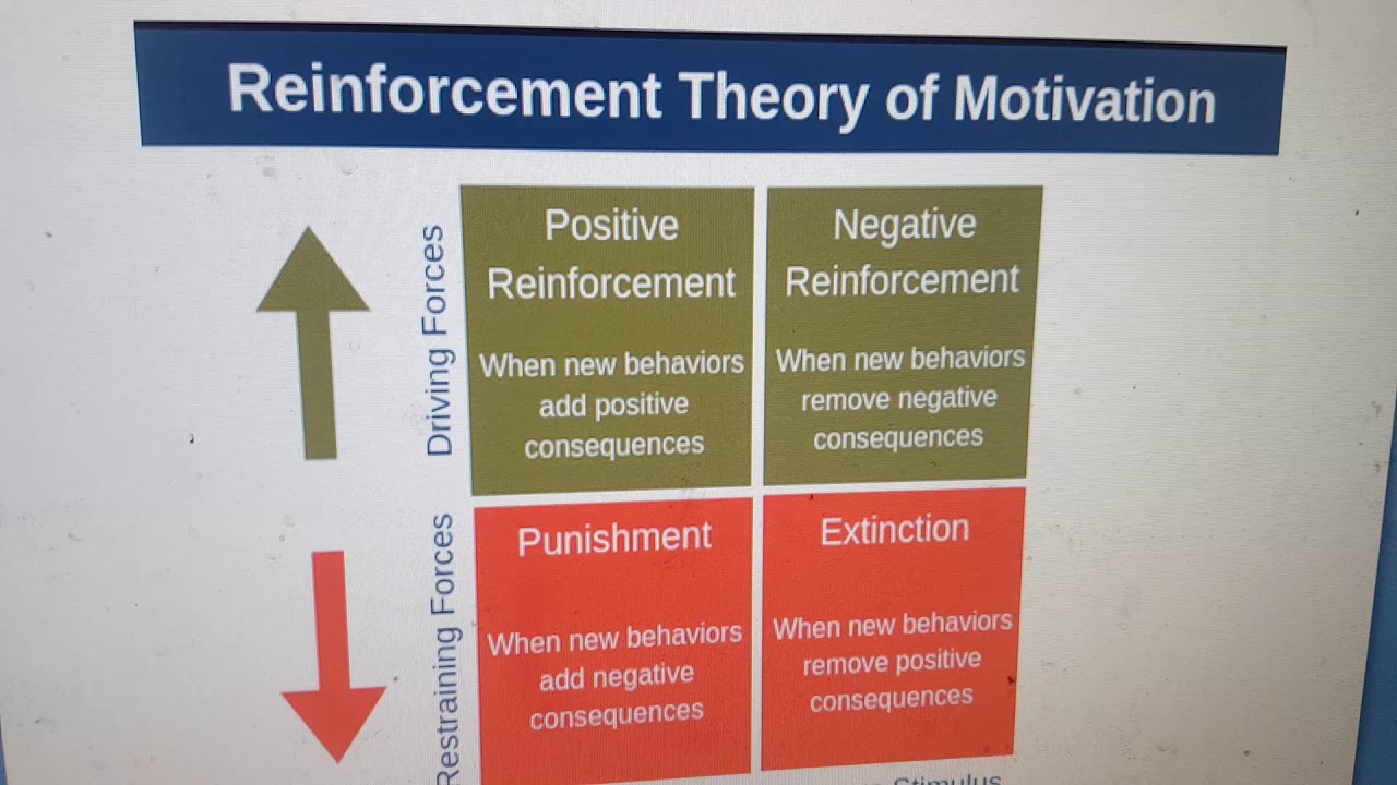 Reinforcement theory of Motivation - YouTube