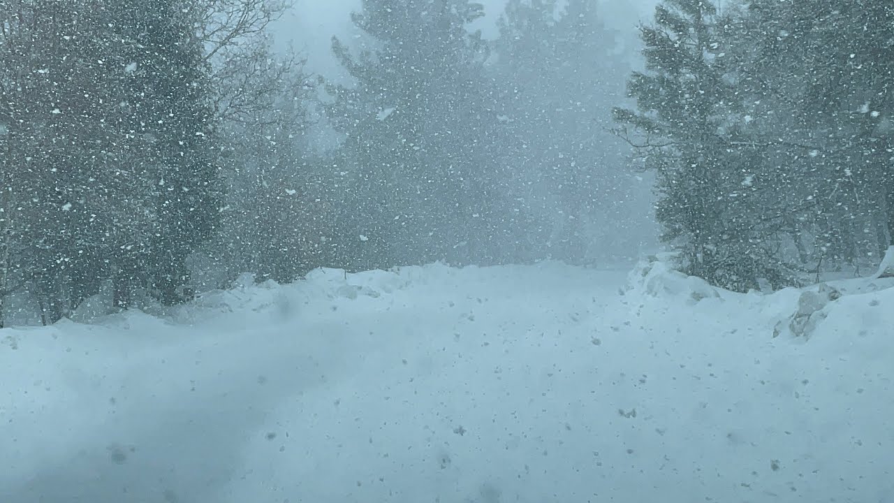 Heavy snow battering Upper Moonridge. The heavy snow has arrived ...