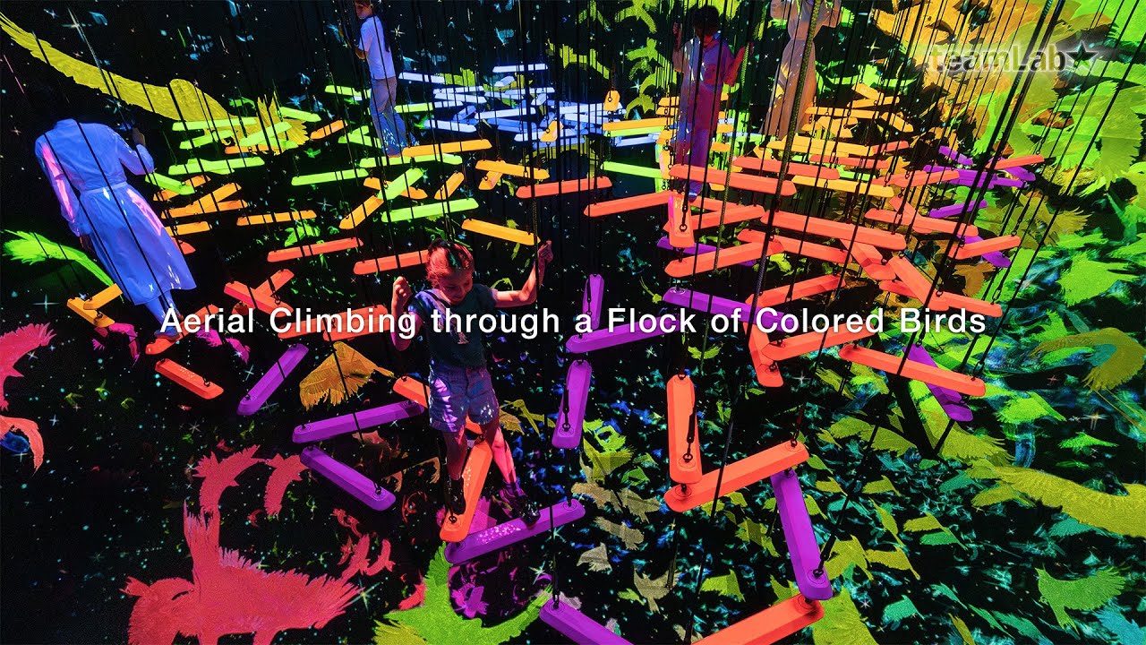 Aerial Climbing through a Flock of Colored Birds - YouTube