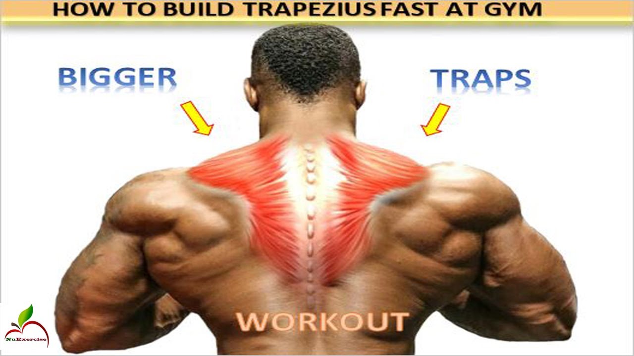 The Best Exercises Trapezius Workout/Traps Workout - YouTube
