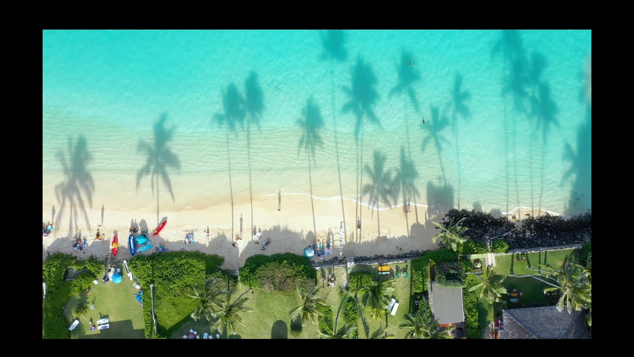 Dancing Papaya - A Day at the Beach (Official Music Video) - YouTube