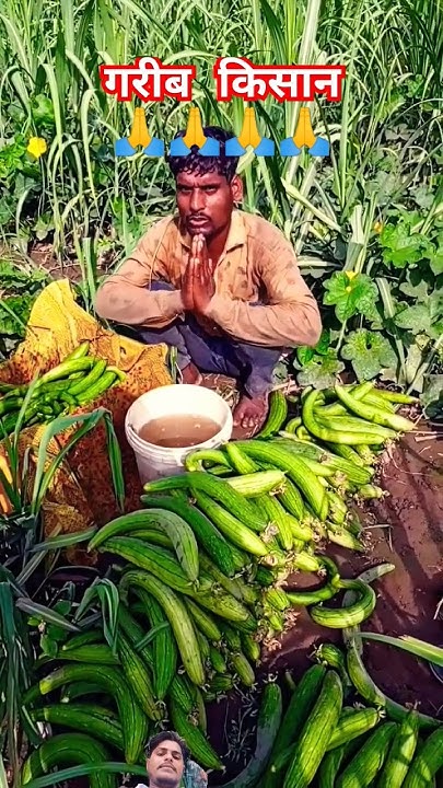 #funny #kishan #comedy #123kishan #farming #agriculture #farmer #voiceeffects #kisan #duet # ...