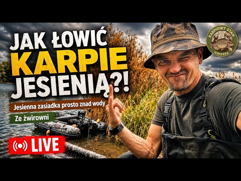 LIVE - jak łowić karpie jesienią+ zasiadka na Żwirowni