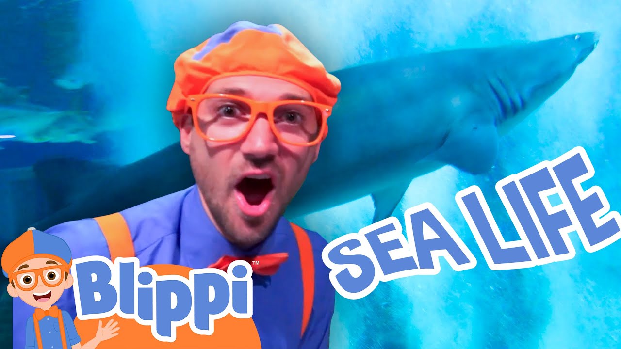 Blippi Visits The Aquarium | Explore Animals for Kids and Toddlers ...