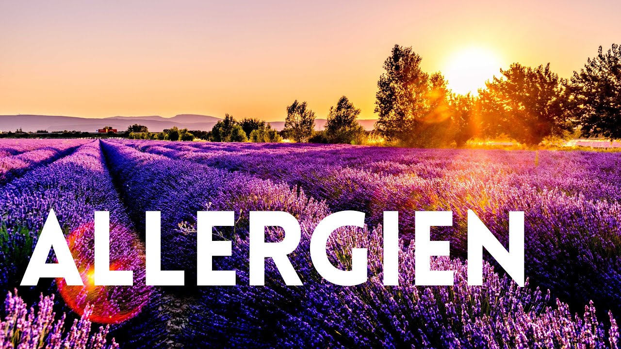 Allergien - YouTube