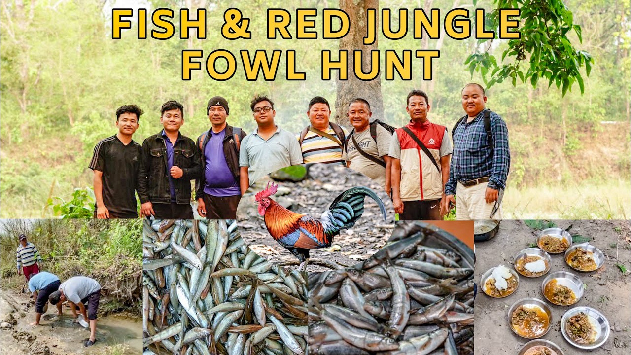 FISH AND RED JINGLE FOWL HUNT @Mahesh2001#maheshrai2001 #fishing # ...