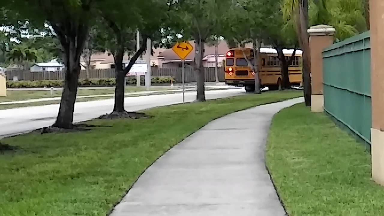 2015 bluebird handicap vision - YouTube