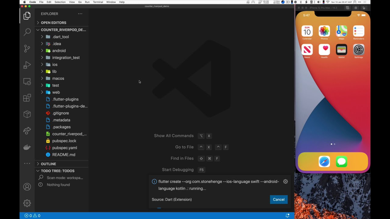 Rebuilding the counter app with Riverpod - YouTube