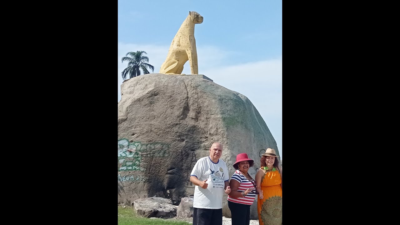 Gato Maracajá que da Ilha de Paranapuã, (Governador) vai fundar a ...