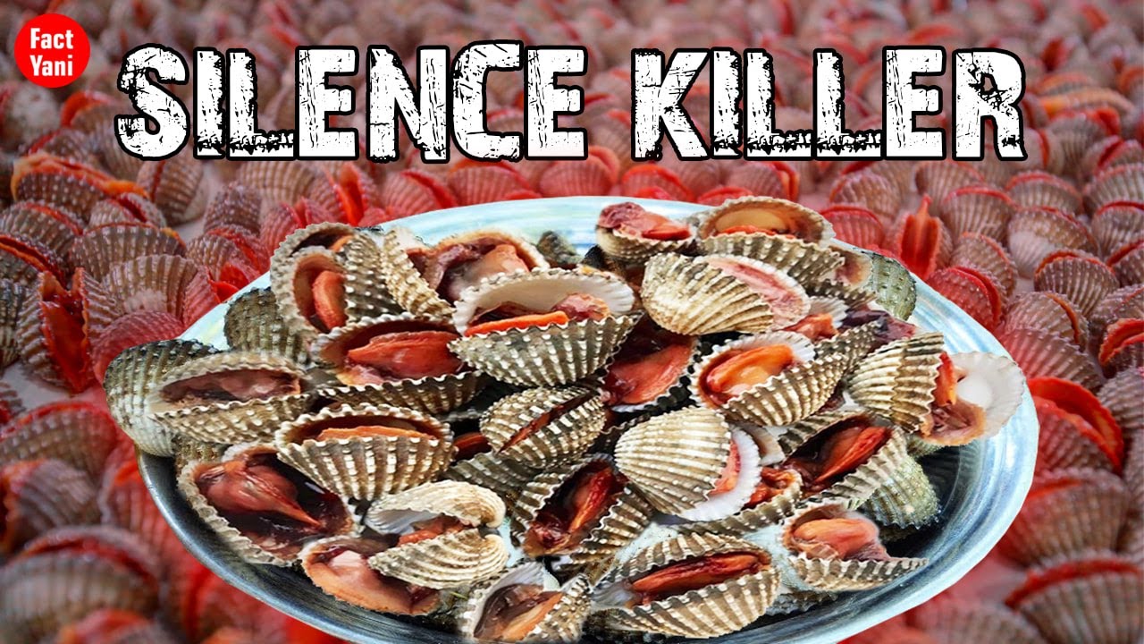 Eating the WORST Clam Species Can Be DEADLY! - YouTube