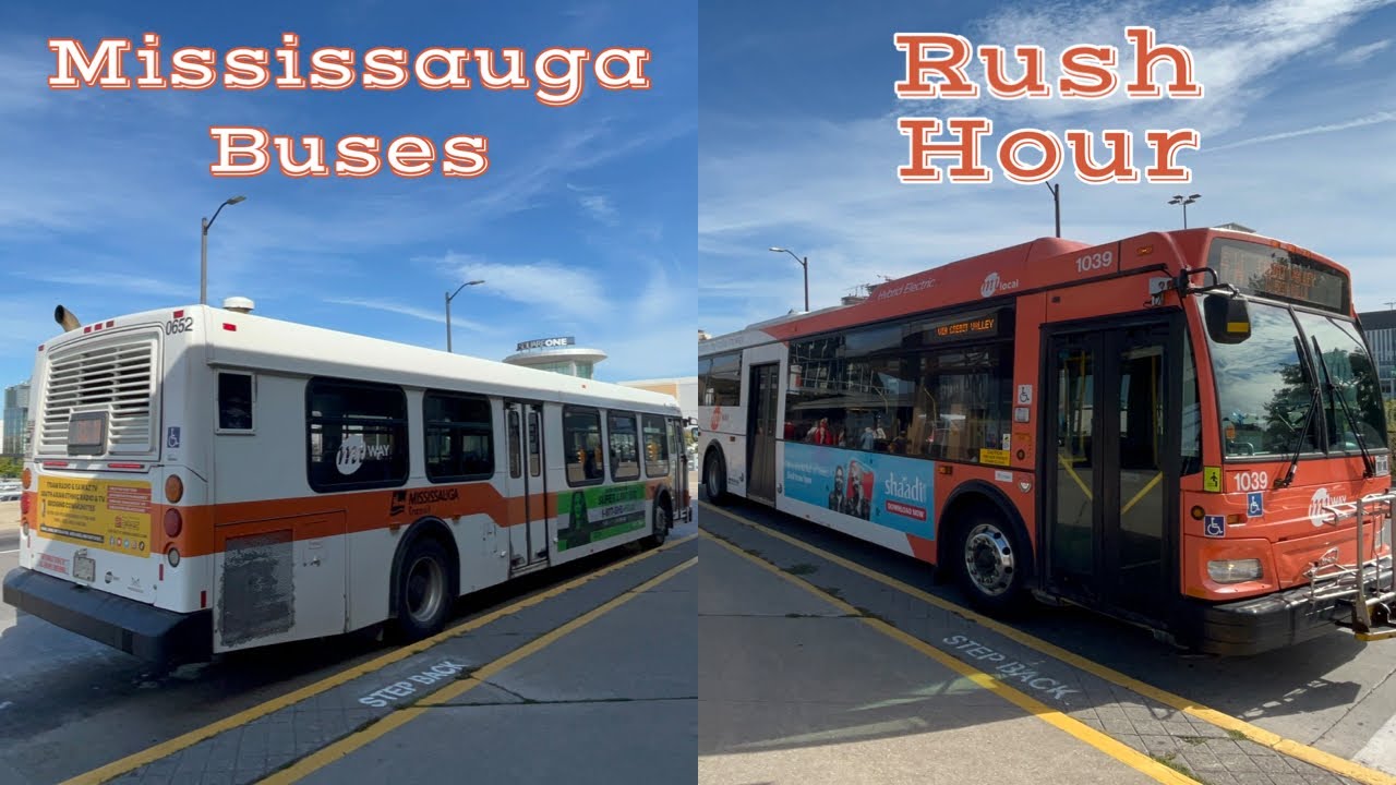 Mississauga Transit (MiWay) Buses at City Centre Terminal at Afternoon ...