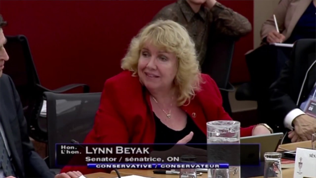 Senator Lynn Beyak Faces Suspension - YouTube