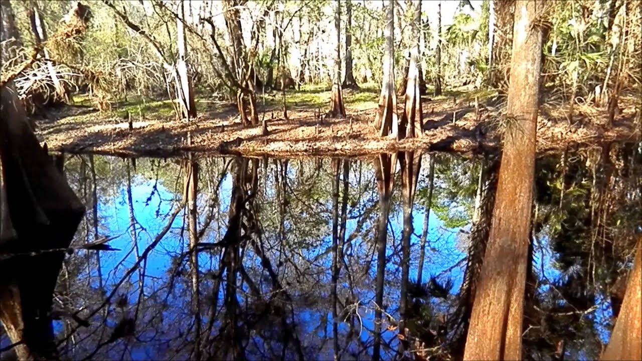 The Green Swamp (Stanley Fish Hole) - YouTube