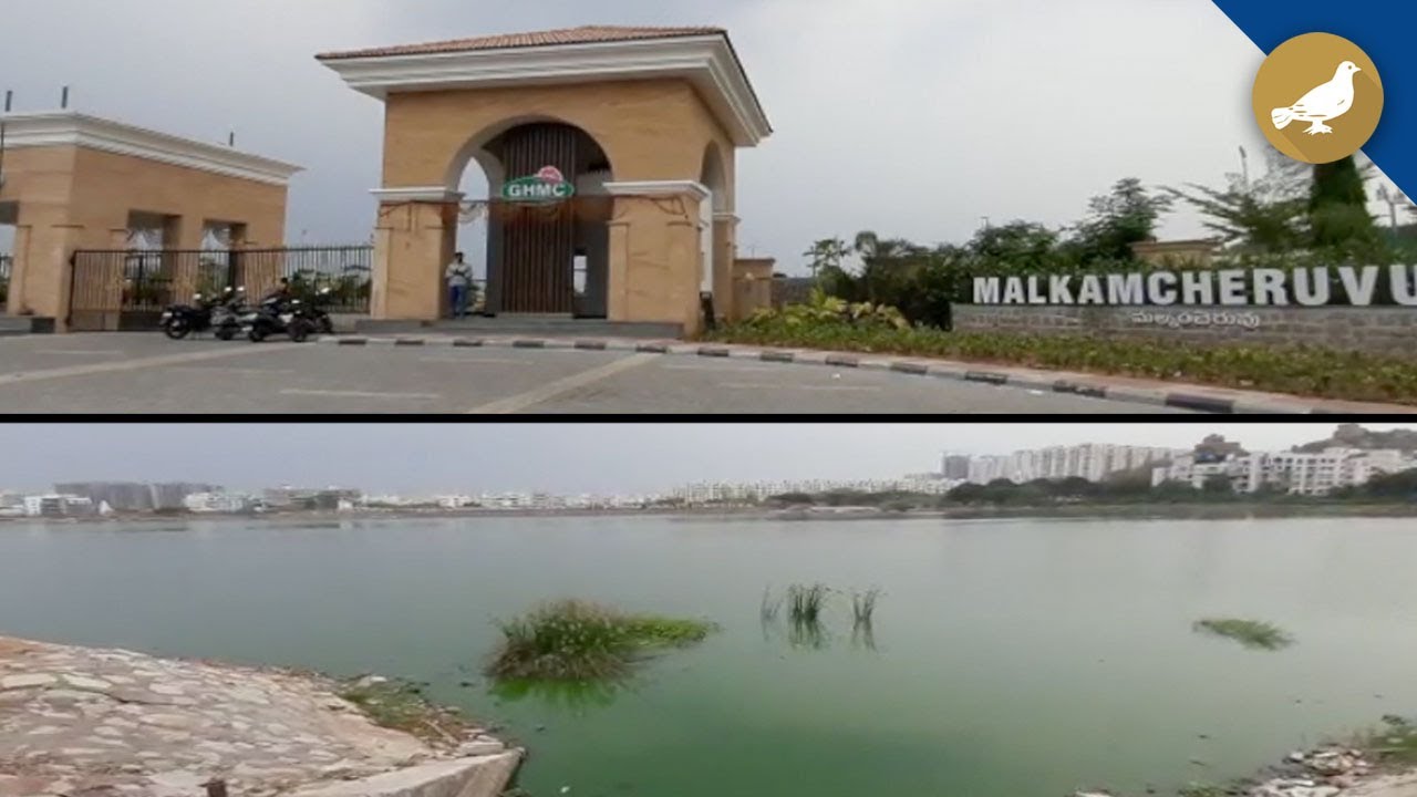 Hyderabad: Malkam Cheruvu, the new attraction in western side of City ...