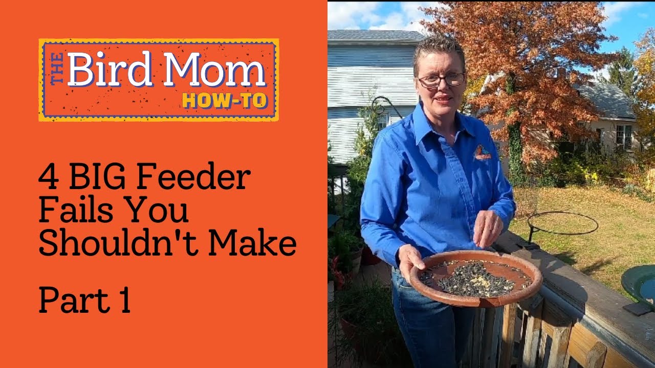 4 BIG Feeder Fails You Shouldn't Make Part 1 - YouTube