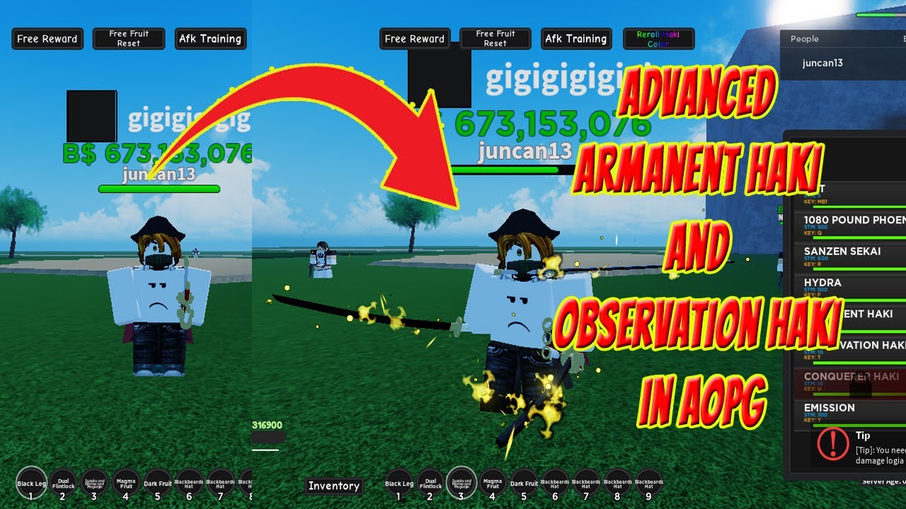 Advanced Armament and Observation Haki | AOPG - YouTube