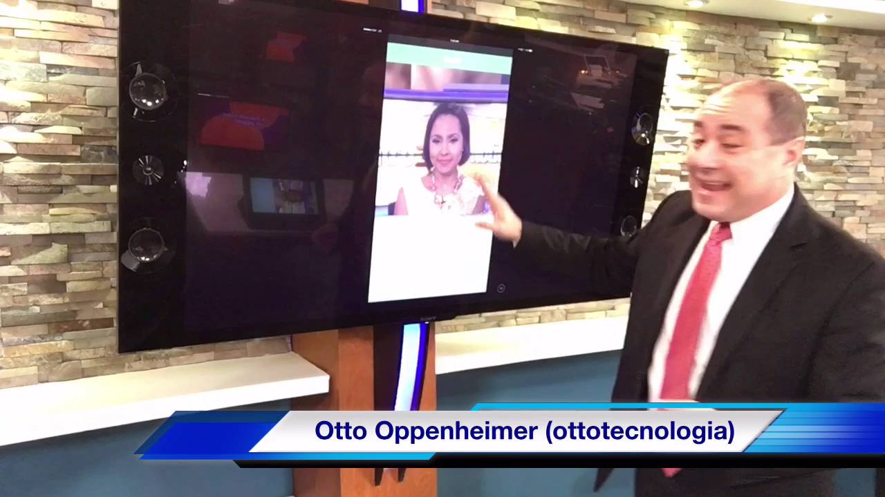 Nueva app de Microsoft que identifica la raza de tu perrito se llama ...