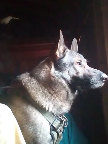 when time comes 🤔 I want say I told you so👌🏾 just pick your face up😂 ...