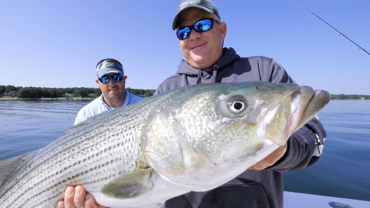 Fall Run Fishing off Cape Cod with Hogy Lures - YouTube