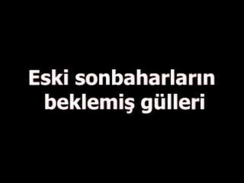 Mehdi AS-Şiir-Güller