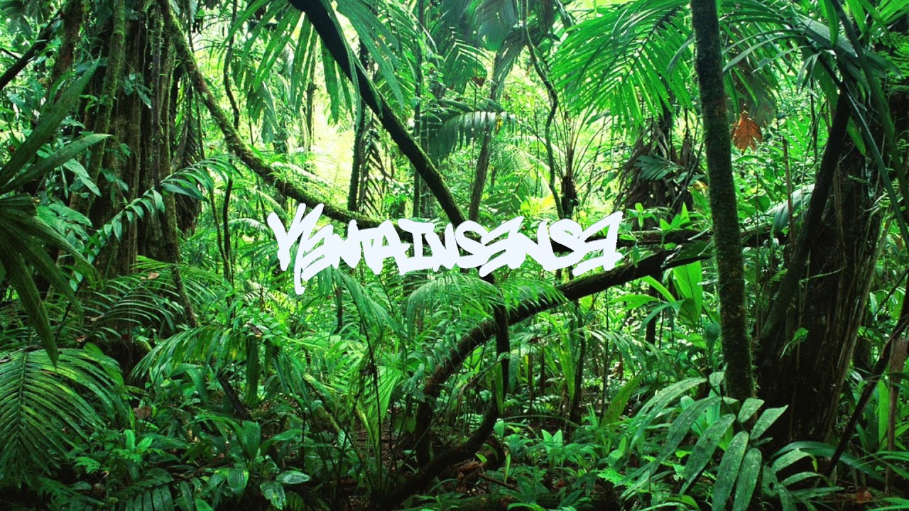 Soulful Trap Type Beat Jungle Youtube Music