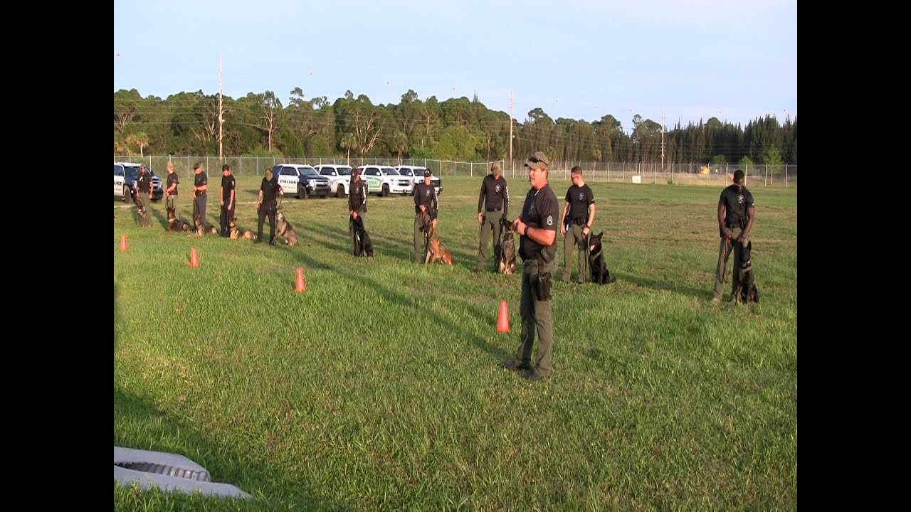 IRCSO K9 Take Dog to Work Day - YouTube