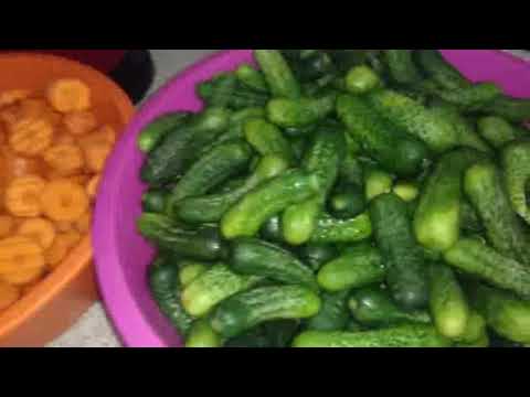 Salatalık ve havuç🥕 turşusu nasıl yapılır🥒kornişon turşusu nasıl yapılır