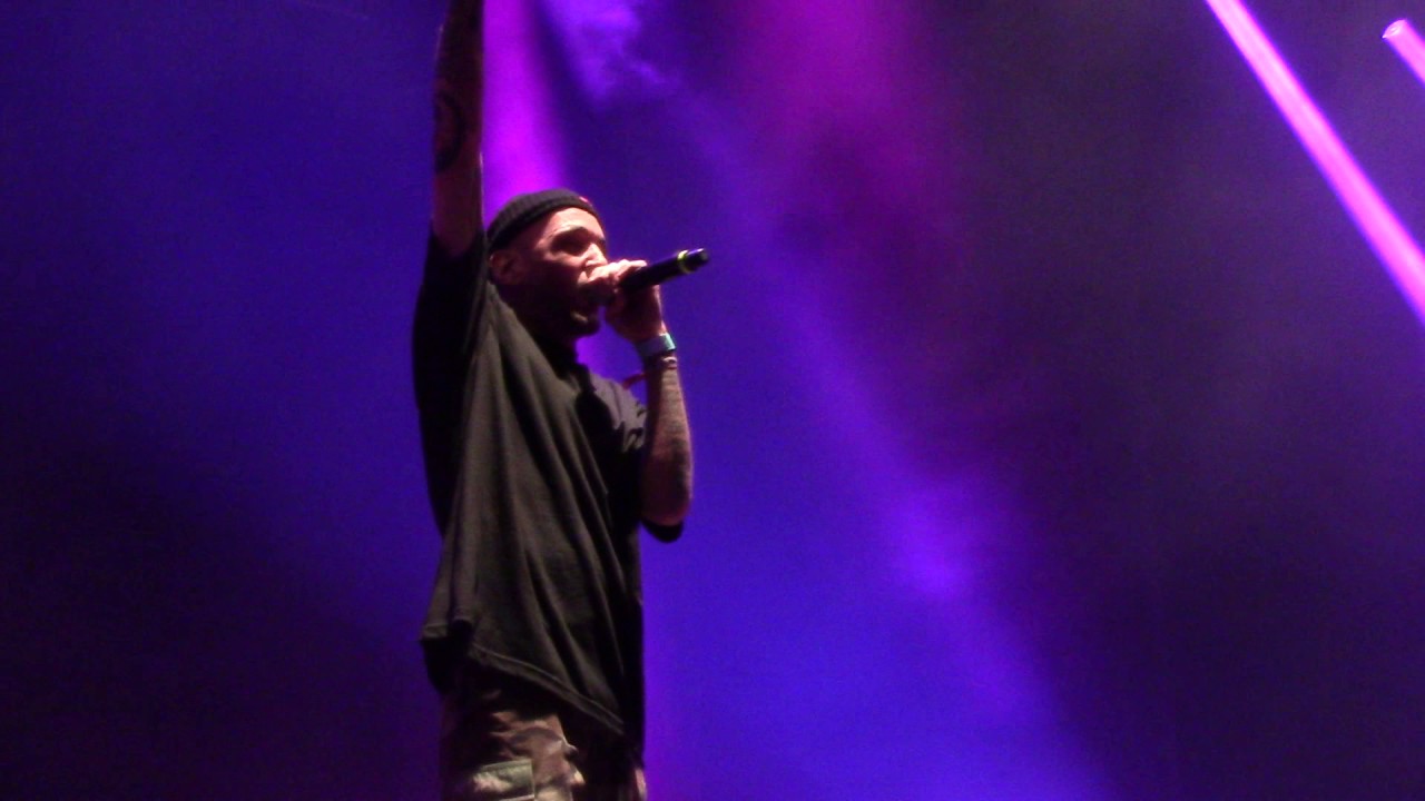 Mucho muchacho Puercos (7Notas7Colores) Viñarock 2017 - YouTube