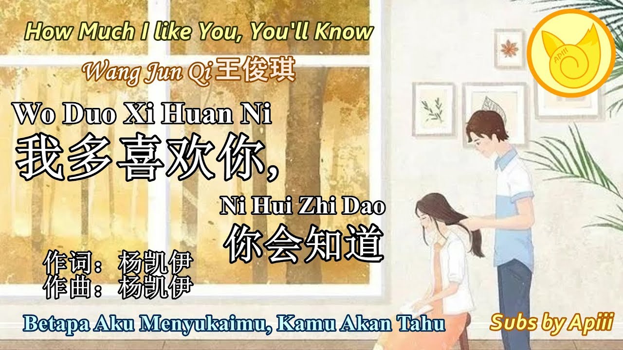 Wo Duo Xi Huan Ni, Ni Hui Zhi Dao 我多喜欢你,你会知道【How Much I like You, You ...