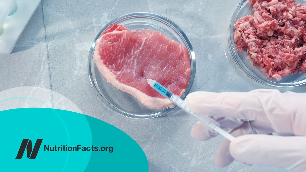 The Human Health Effects of Cultivated Meat: Chemical Safety - YouTube