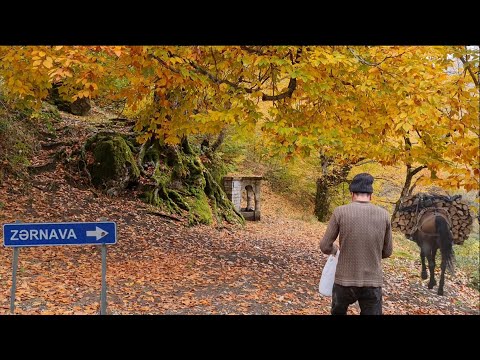 İsmayıllı rayonu. Qaraqaya kəndindən, Zərnava kəndinə kimi yol boyu çəkilən video görüntülər.