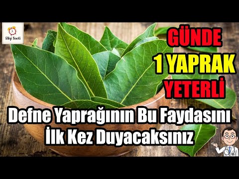DEFNE YAPRAĞININ FAYDALARI / Defne Çayının Faydaları / Defne Yaprağının Zararları